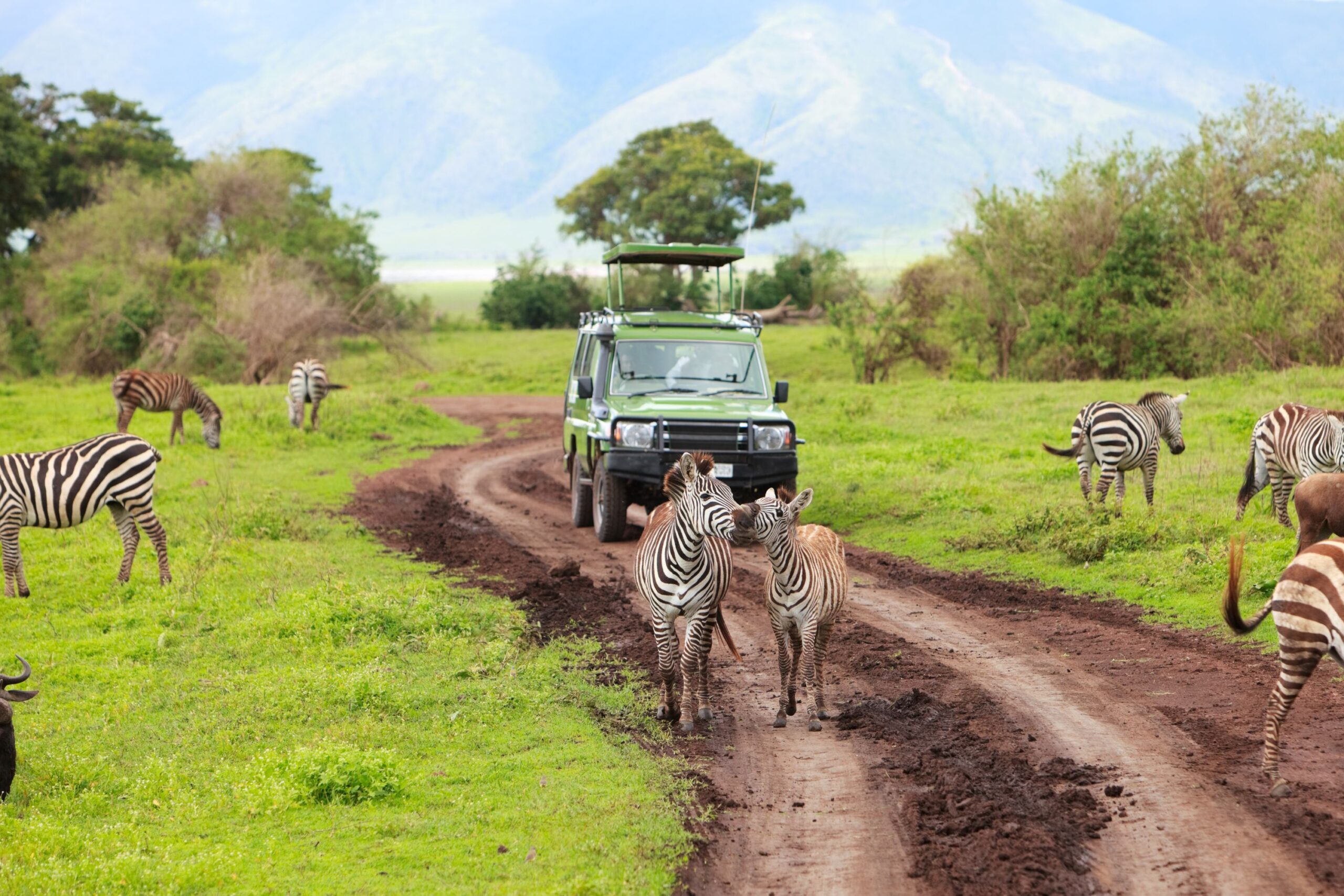 Mashamba Game Lodge – Accommodation, Conference, Party Venue, Farm