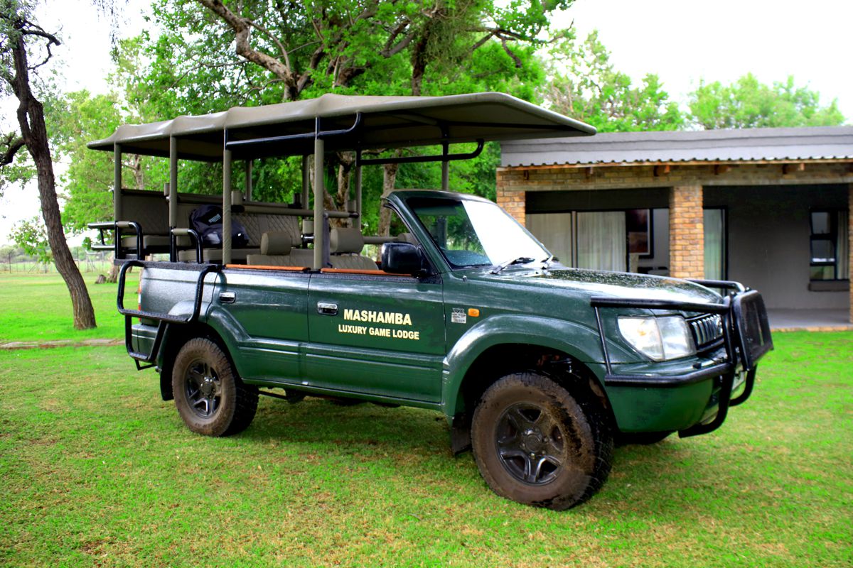 Gallery – Mashamba Game Lodge