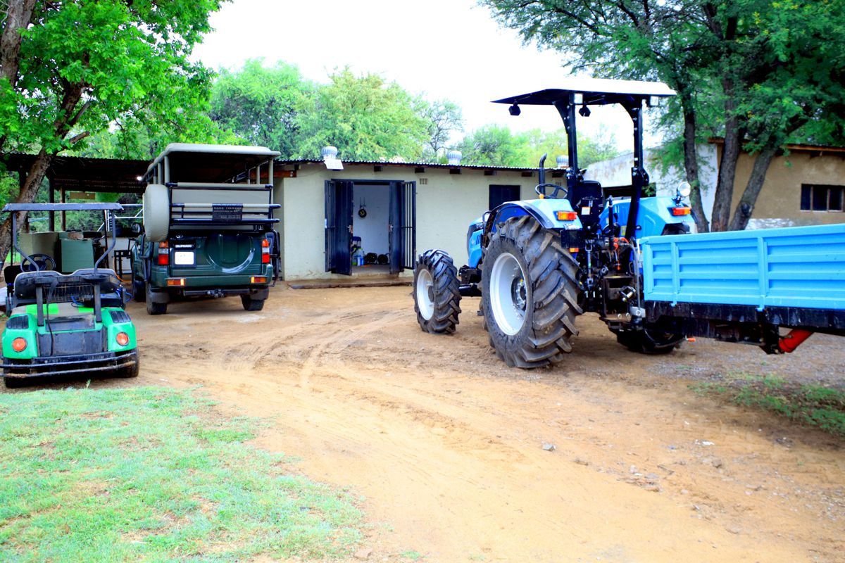 Gallery – Mashamba Game Lodge